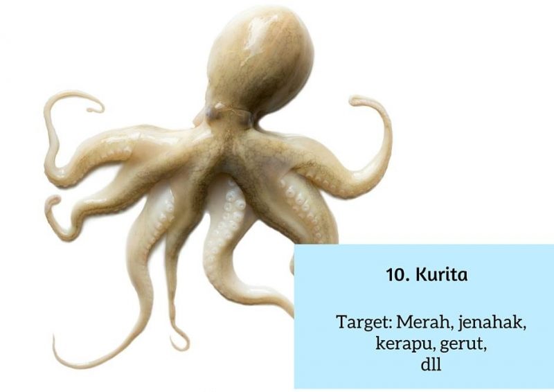 20 Jenis Umpan & Ikan Sasaran - Umpan