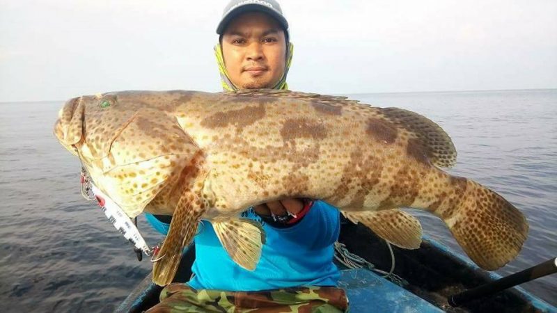 Spesies Ikan Buruan Slow Pitch Jigging - Umpan