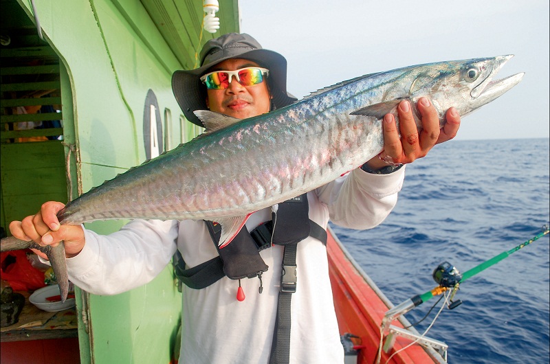 Pilihan Mata Kail Berdasarkan Cara Ikan Makan - Umpan